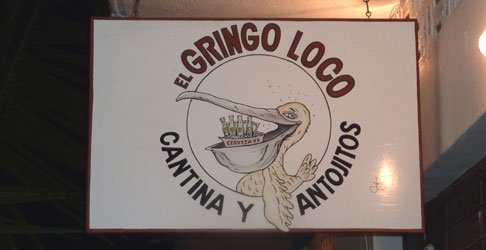 El Gringo Loco Cantina | Puerto Vallarta Scene